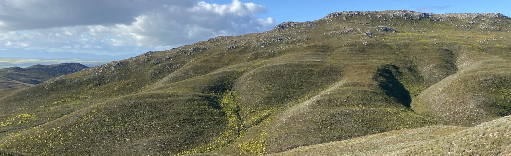 Whale Trail: Potberg - Cupidoskraal: 42 Fotos - Westkap, Südafrika ...