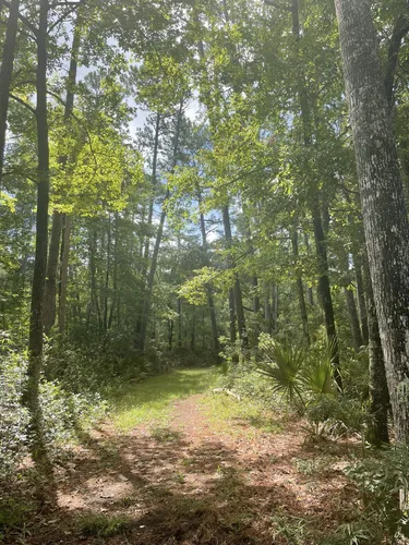 Best Hikes and Trails in Victoria Bluff Heritage Preserve | AllTrails