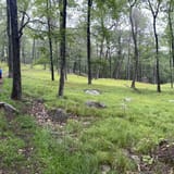 Pine Swamp Loop, New York - 1,188 Reviews, Map | AllTrails