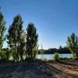 Waughop Lake Loop , Washington - 698 Reviews, Map | AllTrails