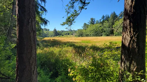 Best Hikes and Trails in Birch Bay State Park | AllTrails