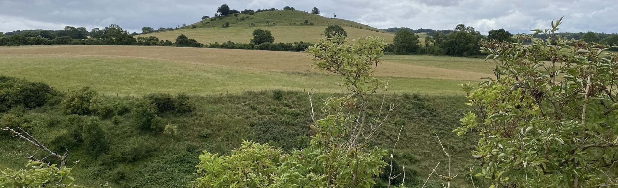 Deacons Hill and Telegraph Hill Circular, Hertfordshire, England - 121 ...