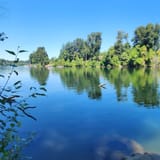 Molalla River State Park Trail, Oregon - 382 Reviews, Map | AllTrails