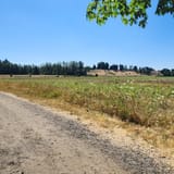 Molalla River State Park Trail, Oregon - 382 Reviews, Map | AllTrails