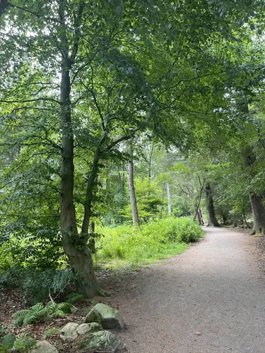 10 Best Trails and Hikes in Aberdeen | AllTrails