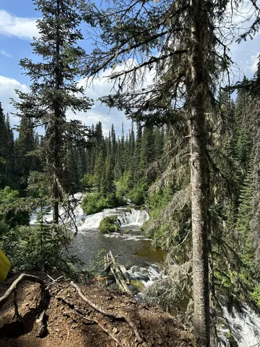Carp Lake Provincial Park: de beste routes om te wandelen | AllTrails