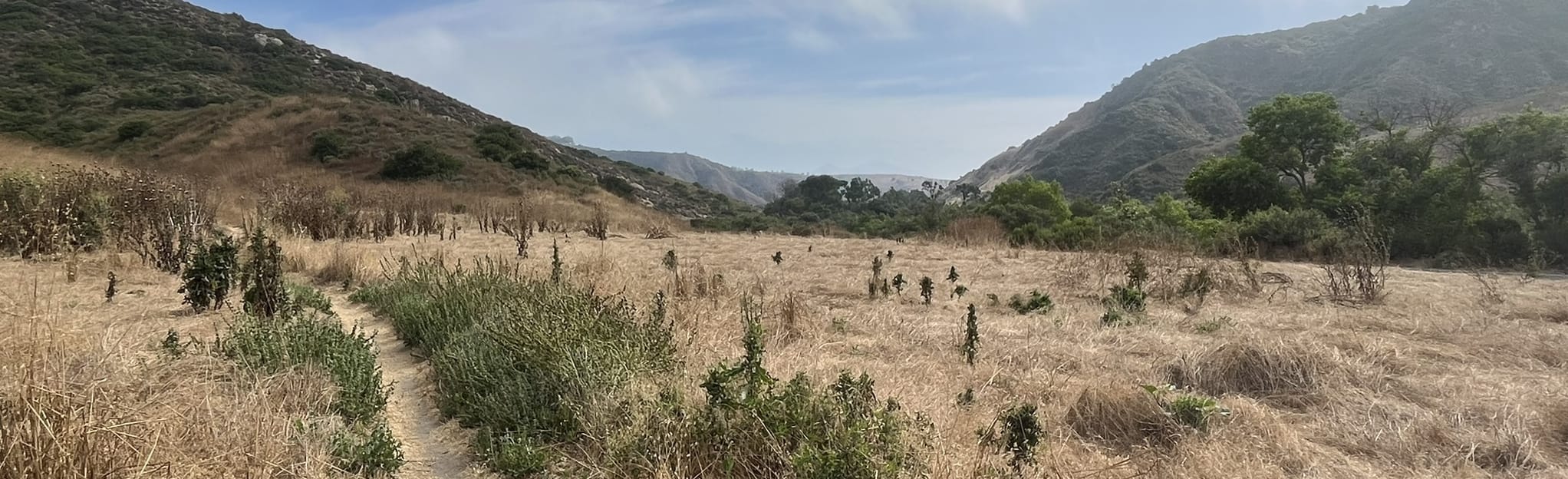 Aliso and Woods Canyon to Alta Laguna Park Loop: 5.503 foto ...