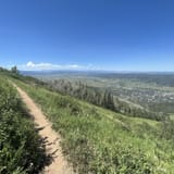 Thunderhead Hiking Trail, Colorado - 761 Reviews, Map | AllTrails