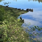 Lake Tabeaud Loop, California - 862 Reviews, Map | AllTrails