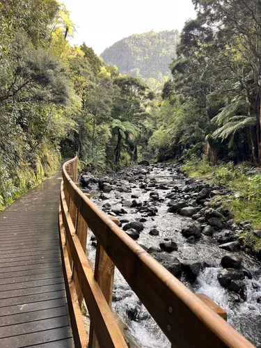 Best 10 Hikes and Trails in Waitakere Ranges Regional Park | AllTrails
