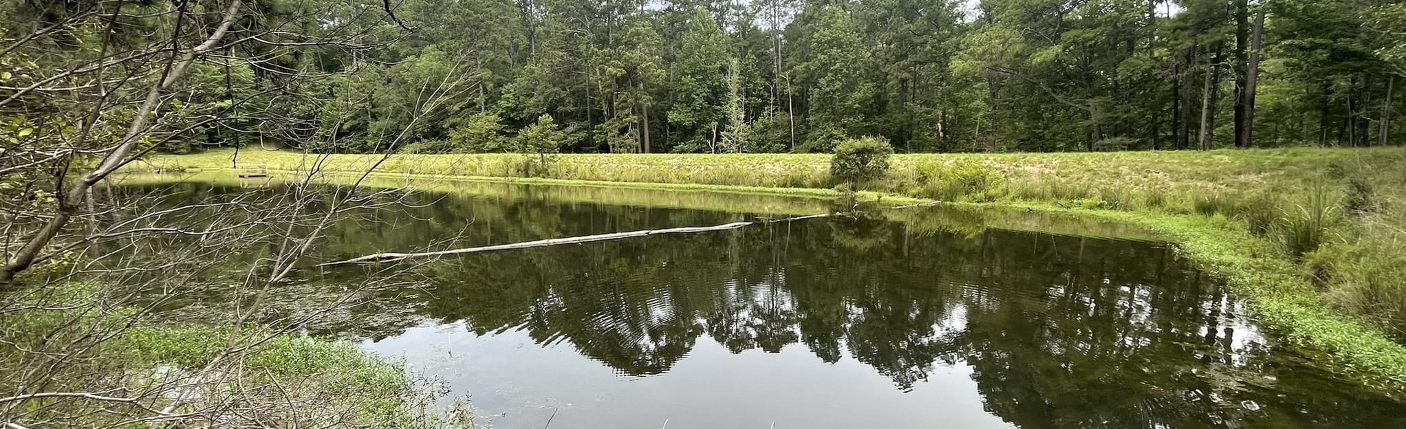 Clear Springs Lake Loop, Mississippi - 14 Reviews, Map | AllTrails