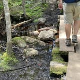 Lower Hadlock Pond Loop Trail, Maine - 569 Reviews, Map | AllTrails