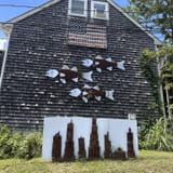Georgetown-Lewes Trail, Delaware - 533 Reviews, Map | AllTrails