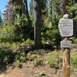 Tenas Lakes via Benson Lake Trail, Oregon - 298 Reviews, Map | AllTrails