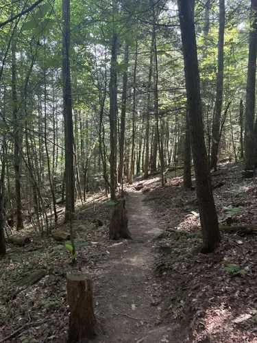 Best Hikes and Trails in Muir Valley Nature Preserve | AllTrails