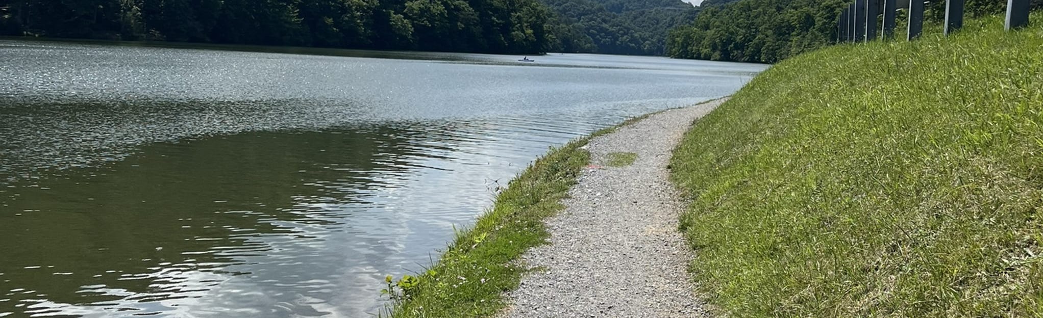 Back of the Dragon: 2 Reviews, Map - Virginia | AllTrails