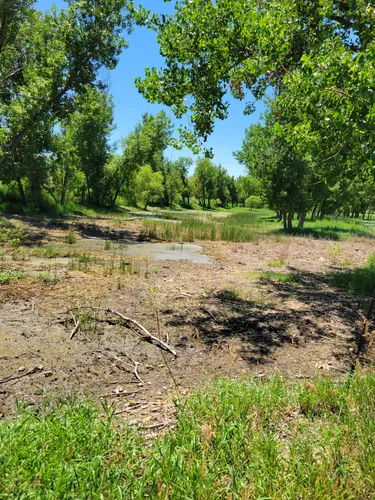 2023 Best Paved Trails in Greeley | AllTrails