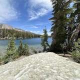 McLeod Lake Trail, California - 827 Reviews, Map | AllTrails