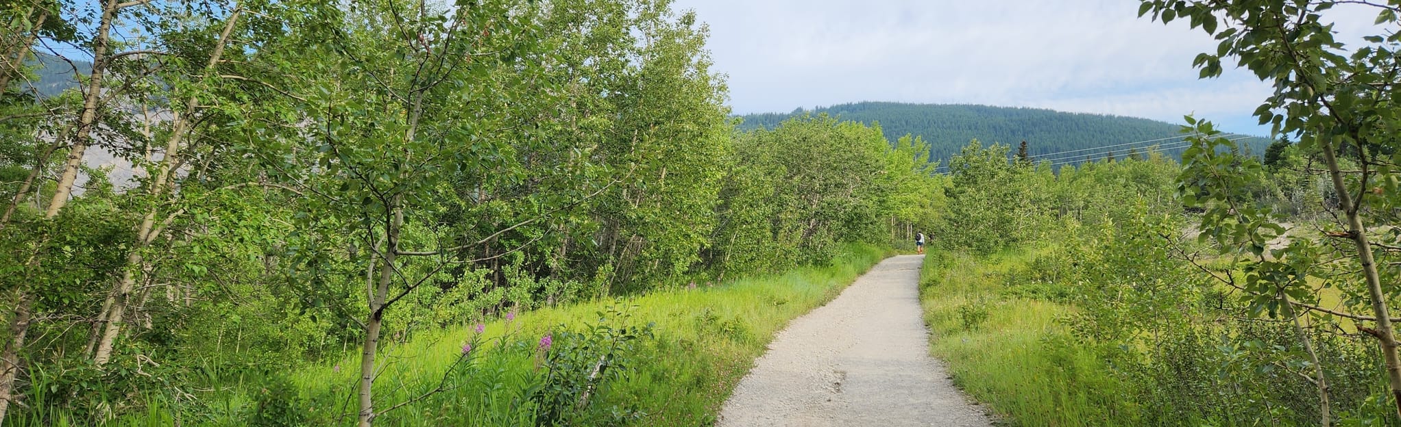 Prairie View Trail, Alberta, Canada - 2,182 Reviews, Map | AllTrails