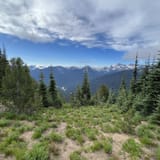 Silver Forest Trail, Washington - 417 Reviews, Map | AllTrails
