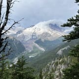 Silver Forest Trail, Washington - 417 Reviews, Map | AllTrails