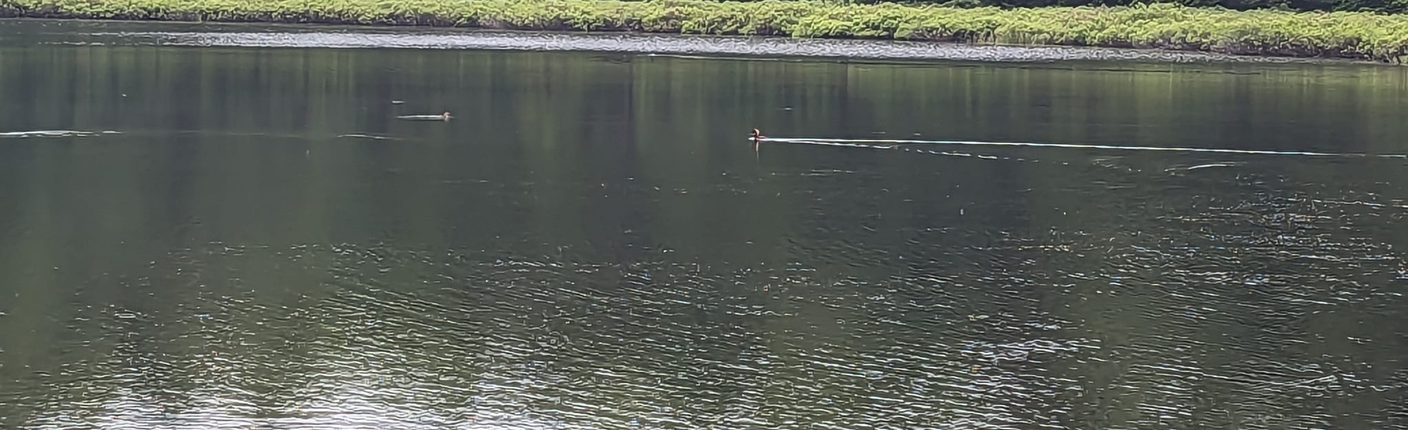 Lost Creek Yurt and Lost Lake via Lost Lake Trail: 32 Reviews, Map ...