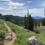 Naomi Peak Trail, Utah - 510 Reviews, Map | AllTrails
