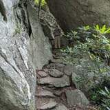 Tanawha Trail via Beacon Heights, North Carolina - 261 Reviews, Map ...