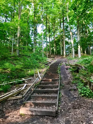 Best Hikes and Trails in Thornton Bales Conservation Area | AllTrails