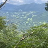 Mount Kintoki - Kintoki Shrine, Kanagawa, Japan - 183 Reviews, Map ...