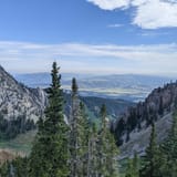 Frazier Lake, Montana - 123 Reviews, Map | AllTrails