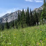 Frazier Lake, Montana - 123 Reviews, Map | AllTrails