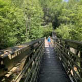 Hebron Falls via Boone Fork Trail, North Carolina - 1,137 Reviews, Map ...