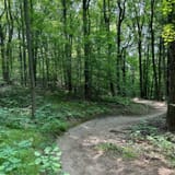 Maple Hill Trail, Michigan - 282 Reviews, Map | AllTrails