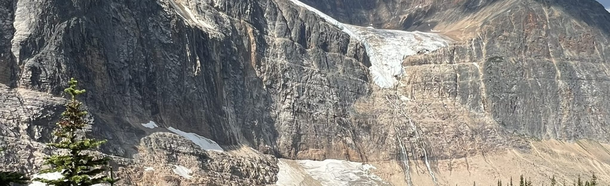 Edith Cavell Meadows Trail, Alberta, Canada - 2,278 Reviews, Map ...
