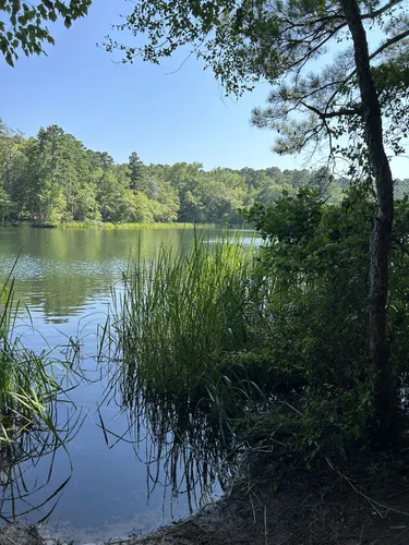 Best Hikes and Trails in Tyler State Park | AllTrails
