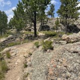Black Hills Centennial Trail, South Dakota - 111 Reviews, Map | AllTrails