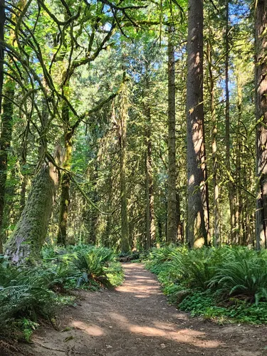 2023 Best Easy Trails in Brush Prairie | AllTrails