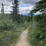 Summit Trail to Wickersham Dome, Alaska - 179 Reviews, Map | AllTrails