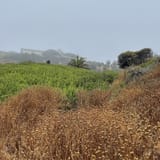 Sunset Cliffs Park Trail, California - 576 Reviews, Map | AllTrails