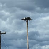 Summit Trail to Wickersham Dome, Alaska - 232 Reviews, Map | AllTrails