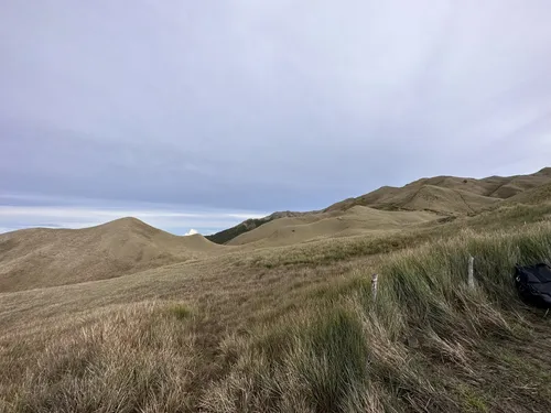 Best Hikes and Trails in Mt. Pulag National Park | AllTrails