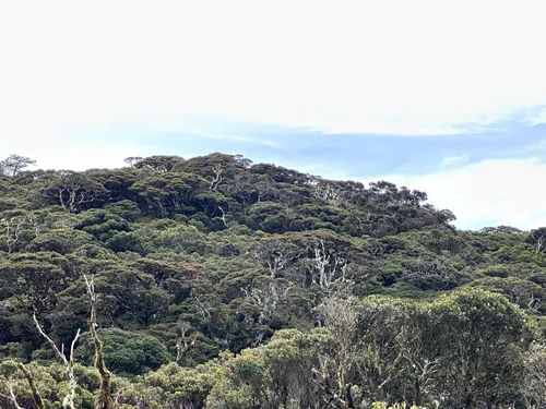 Best Hikes and Trails in Mt. Pulag National Park | AllTrails