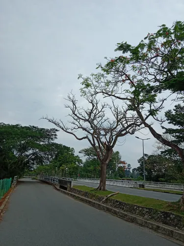 Best Hikes and Trails in Hutan Simpan Bukit Perangin | AllTrails