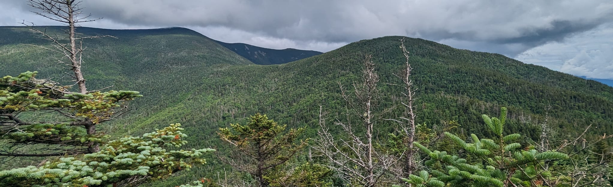 Mount Garfield: 47 Reviews, Map - New Hampshire | AllTrails