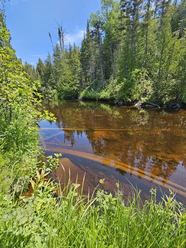 Best Hikes and Trails in Copper Country State Forest | AllTrails