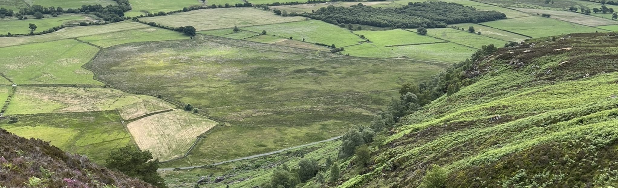 Carrock Fell and High Pike: 186 Reviews, Map - Cumbria, England | AllTrails