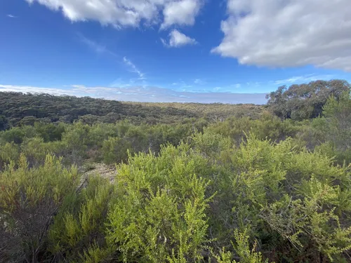 Best Hikes and Trails in Long Forest Flora and Fauna Reserve | AllTrails