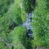 Point Douglas Trail, Minnesota - 257 Reviews, Map | AllTrails