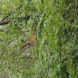 Point Douglas Trail, Minnesota - 257 Reviews, Map | AllTrails